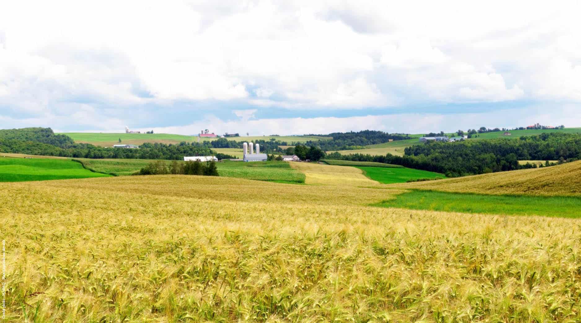 Formation continue - ITAQ